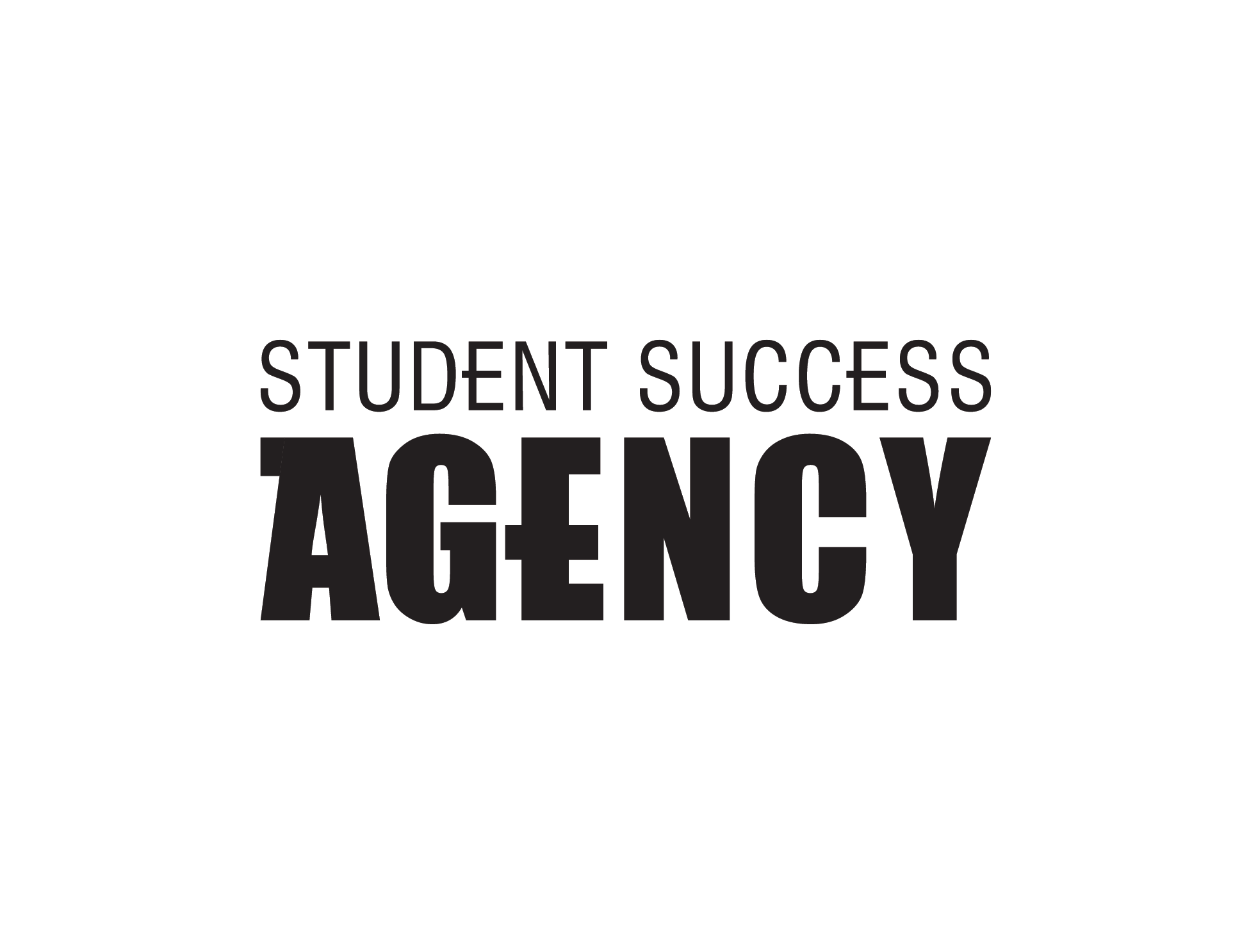 Student Success Agency – Vela Institute