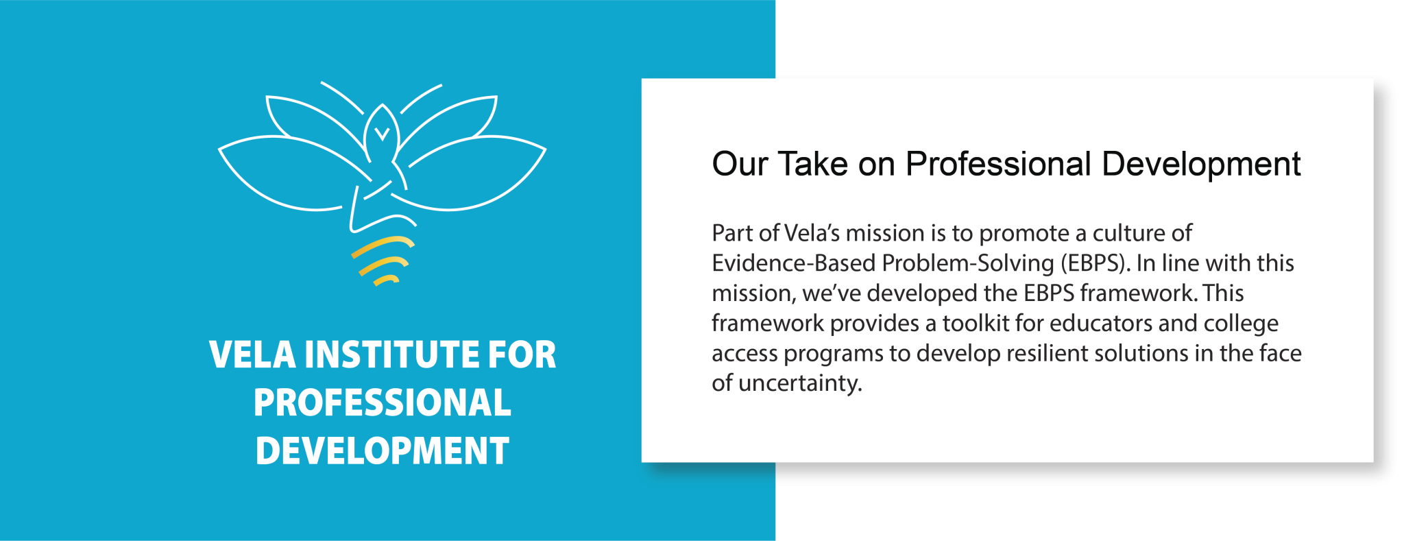 Professional Development – Vela Institute